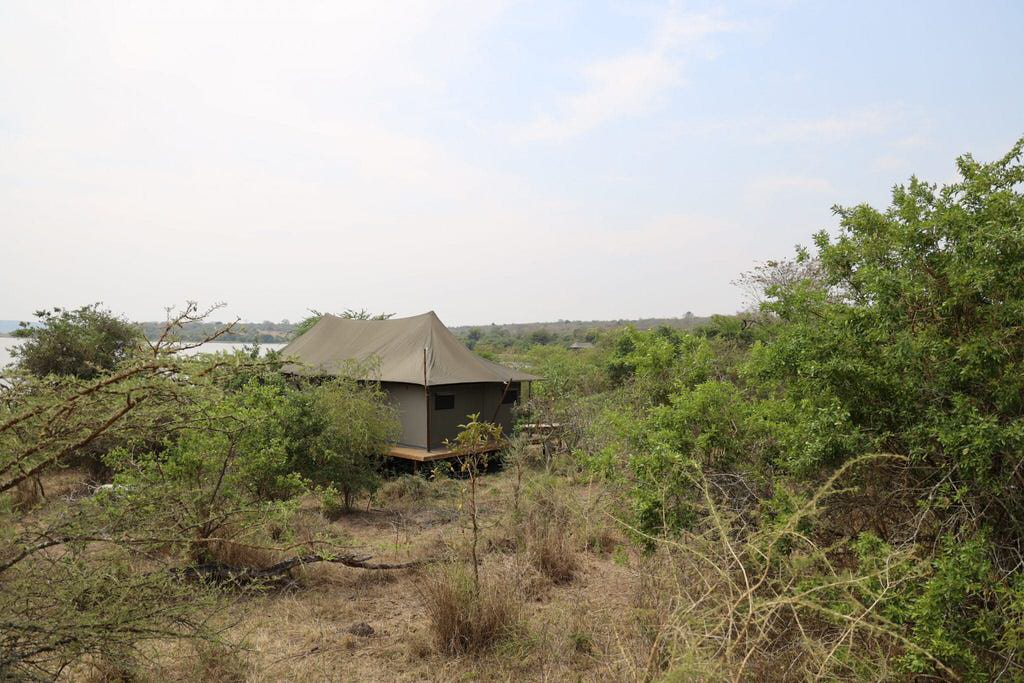 Lodge Review: Magashi Camp, Akagera NP, Rwanda — Where Wild Things Roam