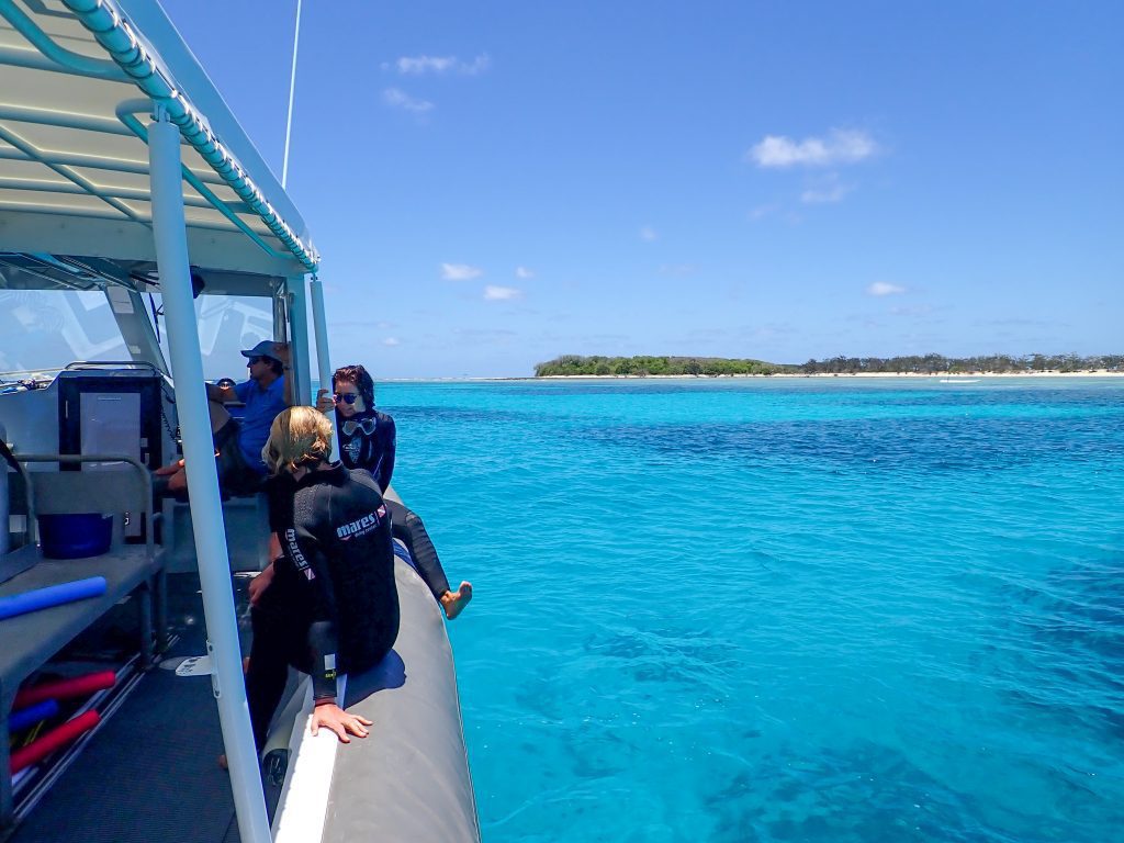 Wild Stays: Lady Musgrave Experience — Where Wild Things Roam