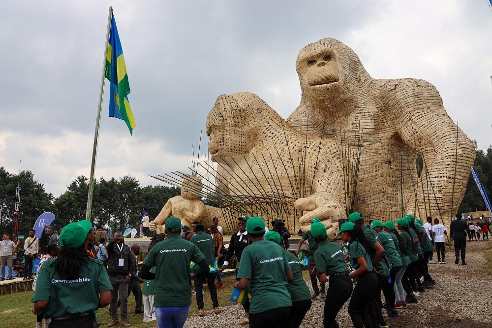 Rwanda honours gorillas in conservation event Kwita Izina — Where Wild ...
