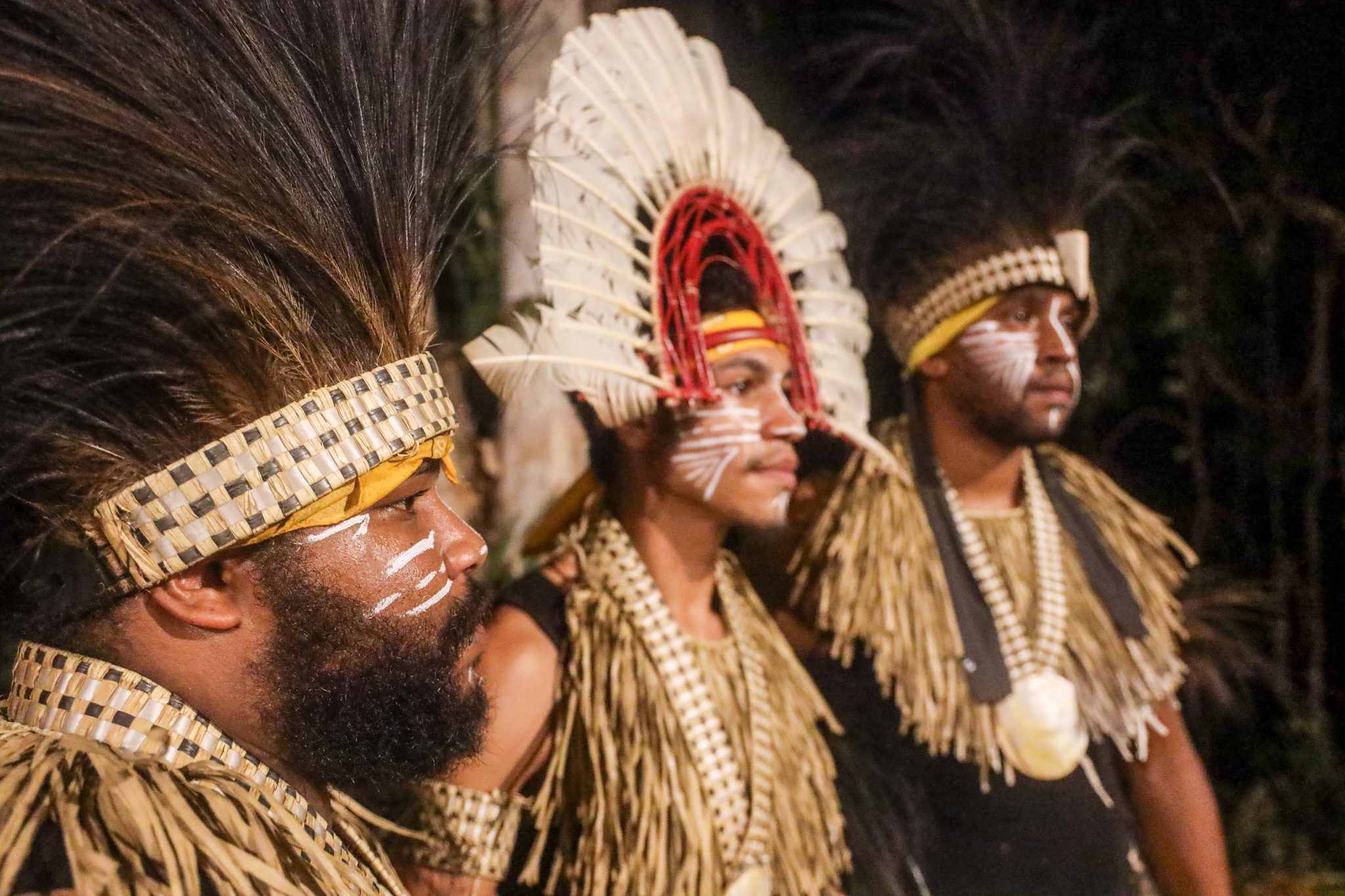 Discover the Torres Strait Islands through dance — Where Wild Things Roam
